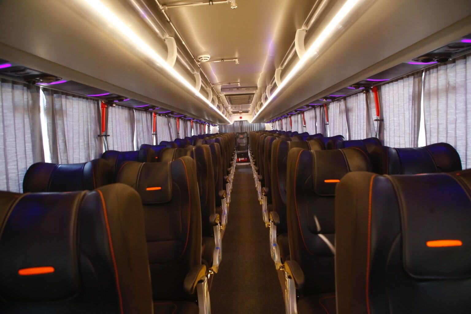 Experience 7-Star Bus Travel with zingbus Maxx