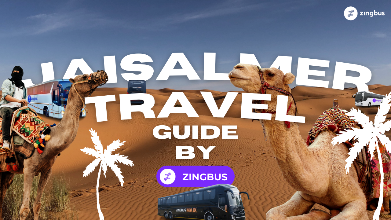 Travel Guide - Zingbus