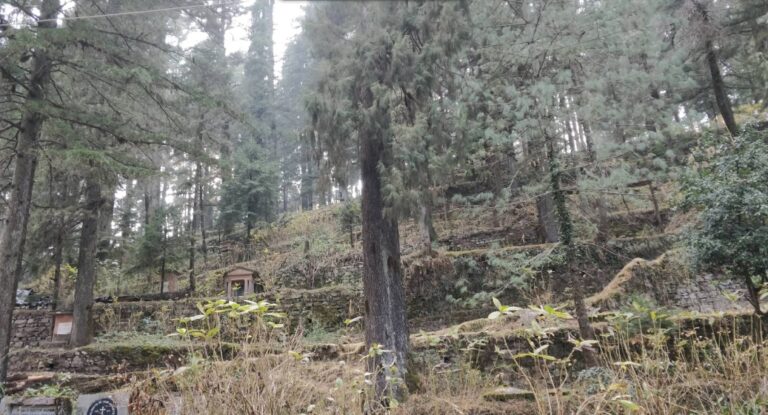 Best Places to Visit in Landour and Things to Do (Near Mussoorie)
