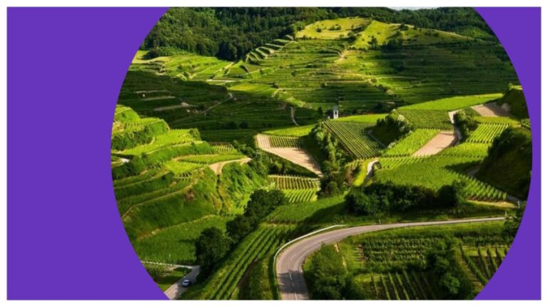 Bangalore to Coorg Bus: Complete Travel Guide 2026